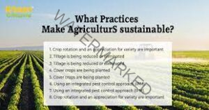 10 Eco-Friendly Agriculture Practices - Agrolearner.com