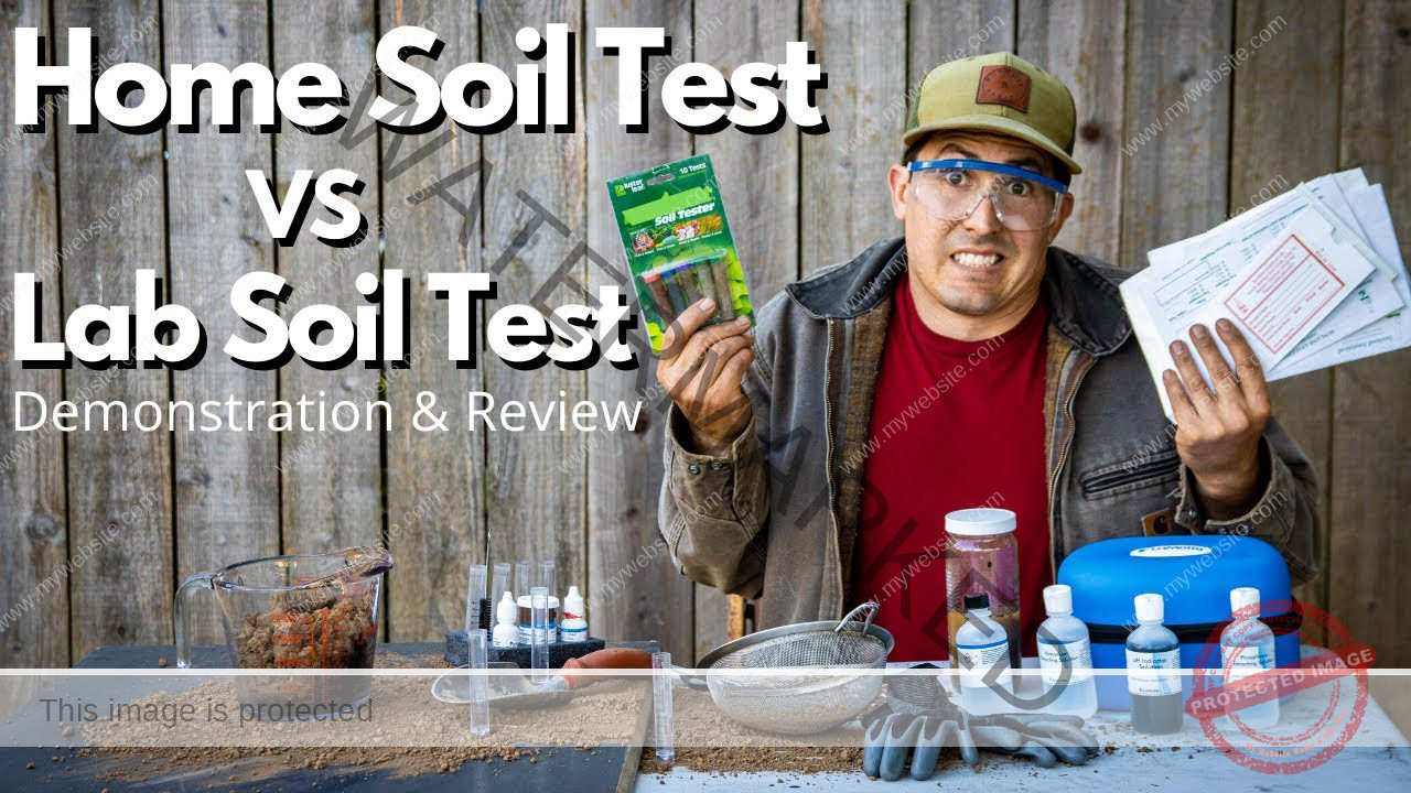 How To Do Soil Test For Your Farmland [Laboratory And Home Kits Guide]