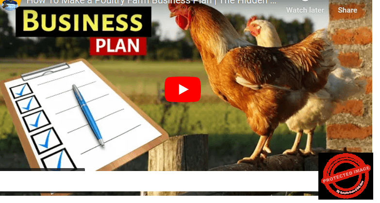 [PDF Sample] Business Plan for a Poultry Farm in Ghana - Agrolearner.com