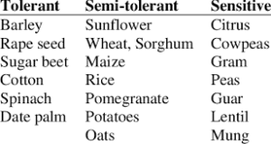 List Of Crops Sensitive To Salinity [Farmers Guide] - Agrolearner.com