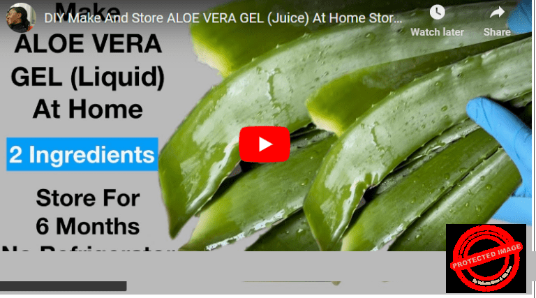 [5 Ways] How to Preserve Yam for Long-Time Storage - Agrolearner.com