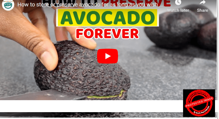 How To Preserve Spring Onions For Long Time Storage - Agrolearner.com