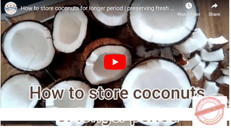 [5 Ways] How To Preserve Coconut For Long-Time Storage - Agrolearner.com