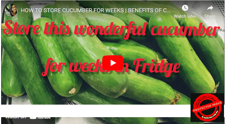[7 Ways] How To Preserve Cucumber For Longer Storage - Agrolearner.com