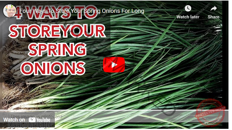 How To Preserve Spring Onions For Long Time Storage - Agrolearner.com