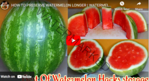 How To Preserve Watermelon For Long Time Storage - Agrolearner.com