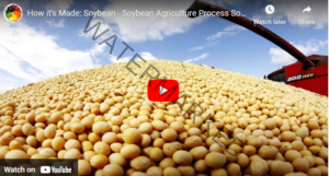 [Beginners Guide] How To Process Soyabeans - Agrolearner.com