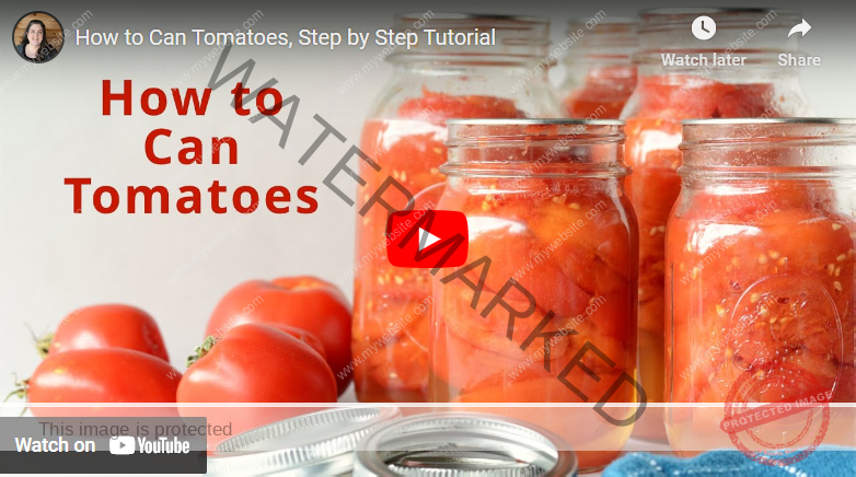 [Beginners Guide] How To Process Tomatoes - Agrolearner.com