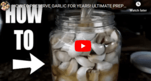 [7 Ways] How To Preserve Garlic For Long Time Storage - Agrolearner.com