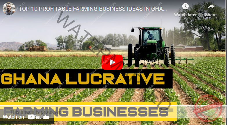 Top 5 Richest Farmers In Ghana [2026] - Agrolearner.com