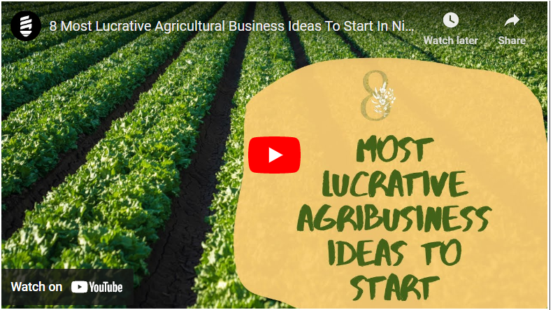 25 Agriculture Facts In Nigeria [All You Need To Know] - Agrolearner.com