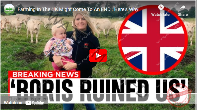 25 Agriculture Facts In the UK [All You Should Know] - Agrolearner.com