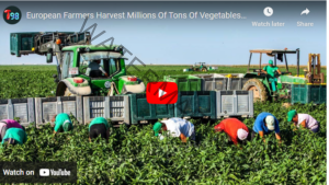 12 Biggest Farming Countries in Europe [2024 Stats] - Agrolearner.com