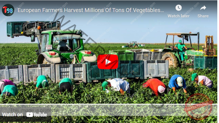 12 Biggest Farming Countries in Europe [2024 Stats] - Agrolearner.com