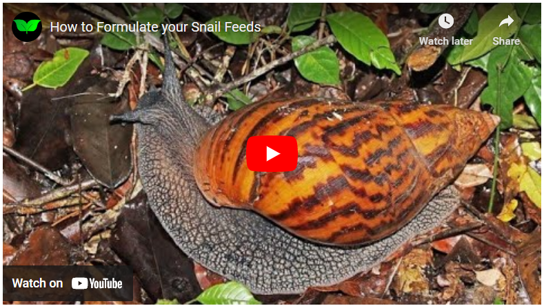 [Beginners Guide] How To Formulate Feed For Snail - Agrolearner.com