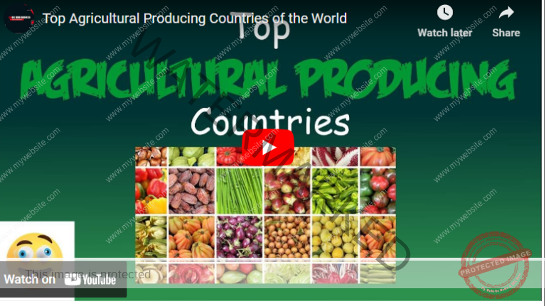 12 Top Agricultural Producing Countries - Agrolearner.com