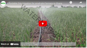 Drip Irrigation System Ghana [Installation Guide ] - Agrolearner.com
