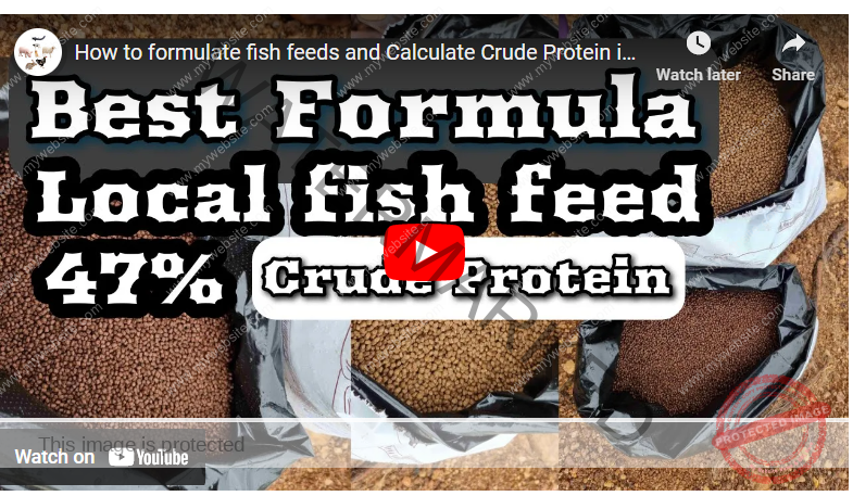 [Beginners Guide] How To Formulate Fish Feed in Uganda - Agrolearner.com