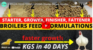 [Beginners Guide] How To Formulate Poultry Feed PDF - Agrolearner.com