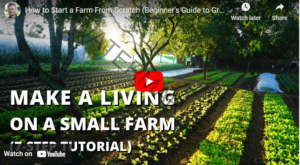 [Beginners Guide] How To Start A Farm From Scratch - Agrolearner.com