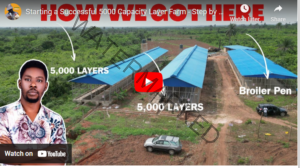 [Beginners Guide] How to Start Poultry Farm - Agrolearner.com