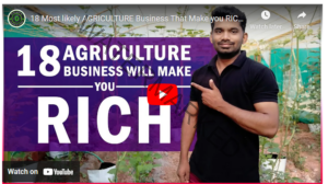 15 Most Profitable Crops In The World - Agrolearner.com