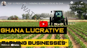 15 Most Profitable Crops To Grow Ghana - Agrolearner.com