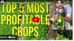 12 Most Profitable Crops in California - Agrolearner.com