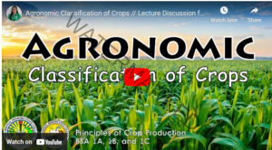 [Beginners Guide] Agronomic Classification of Crops in Agriculture ...