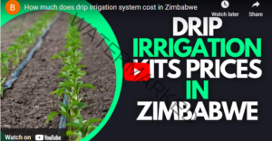 Drip Irrigation System Zimbabwe - Agrolearner.com