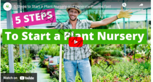 How to Start a Plant Nursery Business in Australia - Agrolearner.com