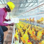 Poultry House Plan Design Pdf [A-Z Building Plan] - Agrolearner.com