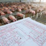 [Beginners Guide] How To Build A Pig Pen For Large & Small Farms ...