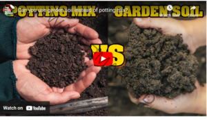 Miracle-Gro Potting Mix vs. Potting Soil: Unveiling the Key Differences - Agrolearner