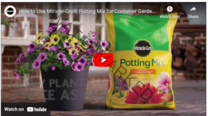 Miracle-Gro Potting Mix vs. Potting Soil: Unveiling the Key Differences - Agrolearner.com