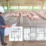 How to Build a Pig Pen with Hog Panels [Beginner's Guide] - Agrolearner.com