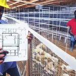 [DIY Guide] Poultry House Construction Guidelines PDF - Agrolearner.com