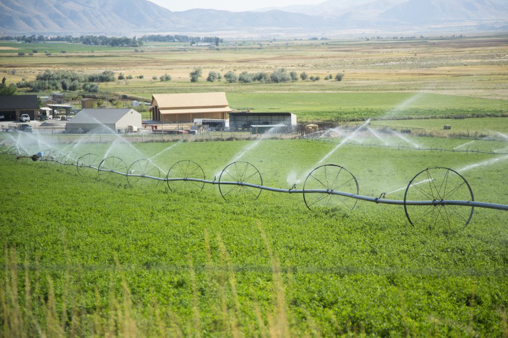 How to Start a Poultry Farming Business in Utah - Agrolearner.com