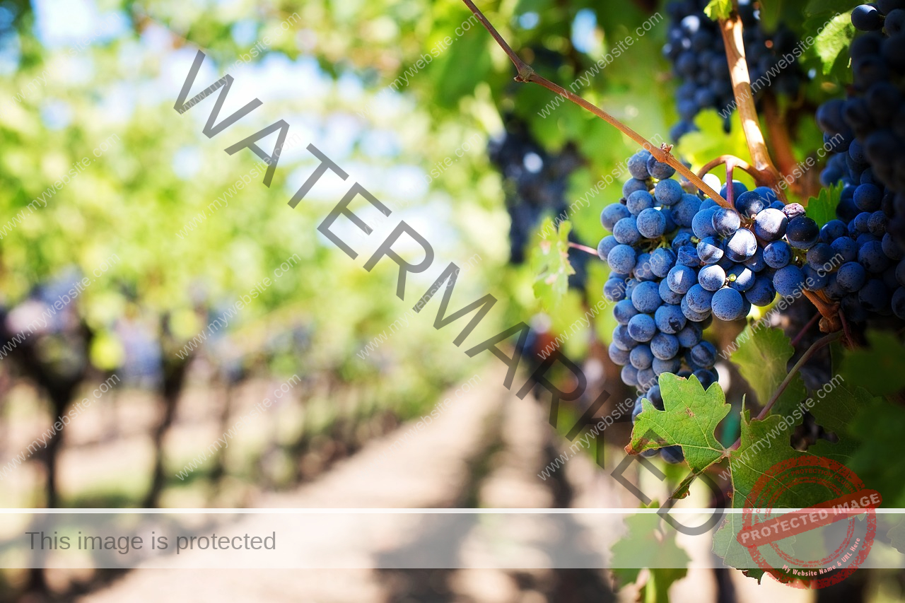 How To Make Compost Manure [Full Guide] - Agrolearner.com