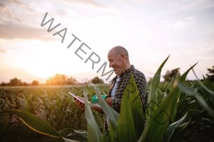 10 Guide To Become A Successful Farmer [Farmer’s Guide] - Agrolearner.com