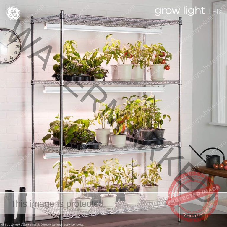 10 Best Grow Lights For Tomatoes (See Best Reviews) - Agrolearner.com