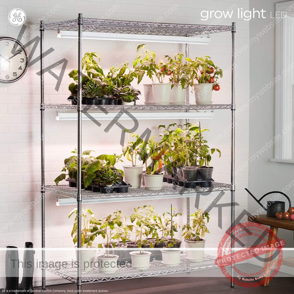 10 Best Grow Lights For Tomatoes (See Best Reviews) - Agrolearner.com