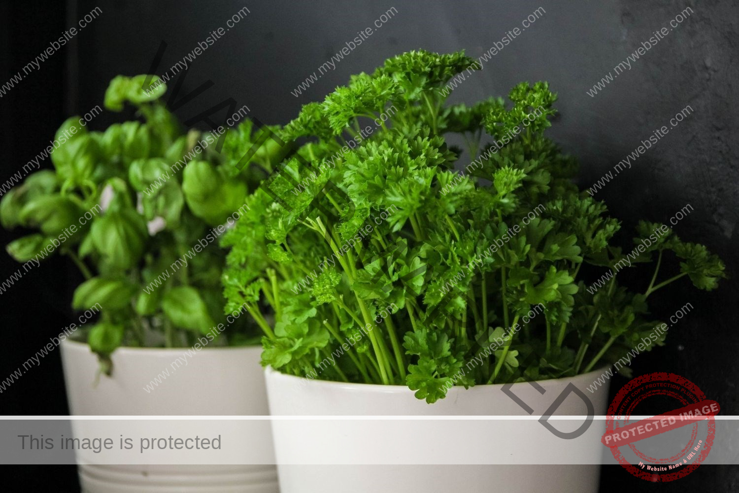 Cultivate Success: The Ultimate Guide to Growing Parsley Indoors - Agrolearner.com