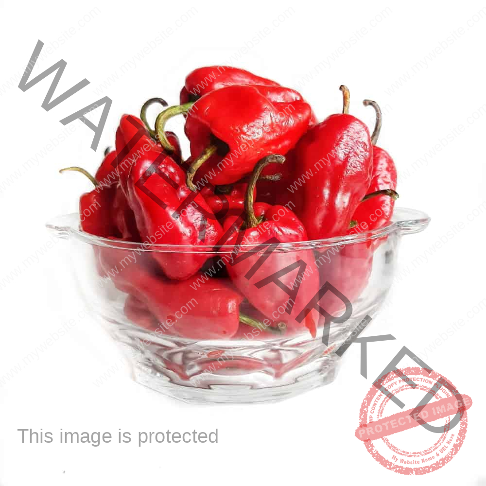 The different types of peppers we have in Nigeria - Agrolearner.com