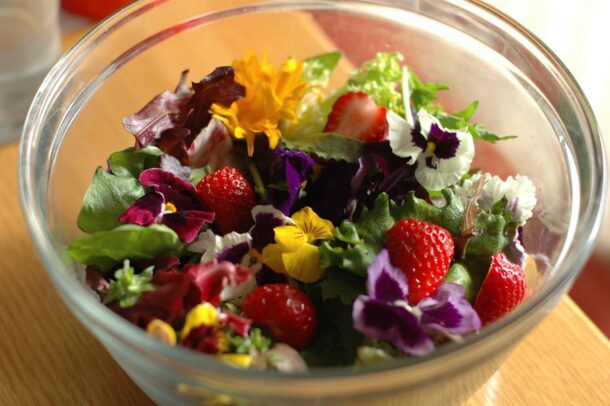 How to Make Your Own Fresh Cut Flower Food - Agrolearner.com