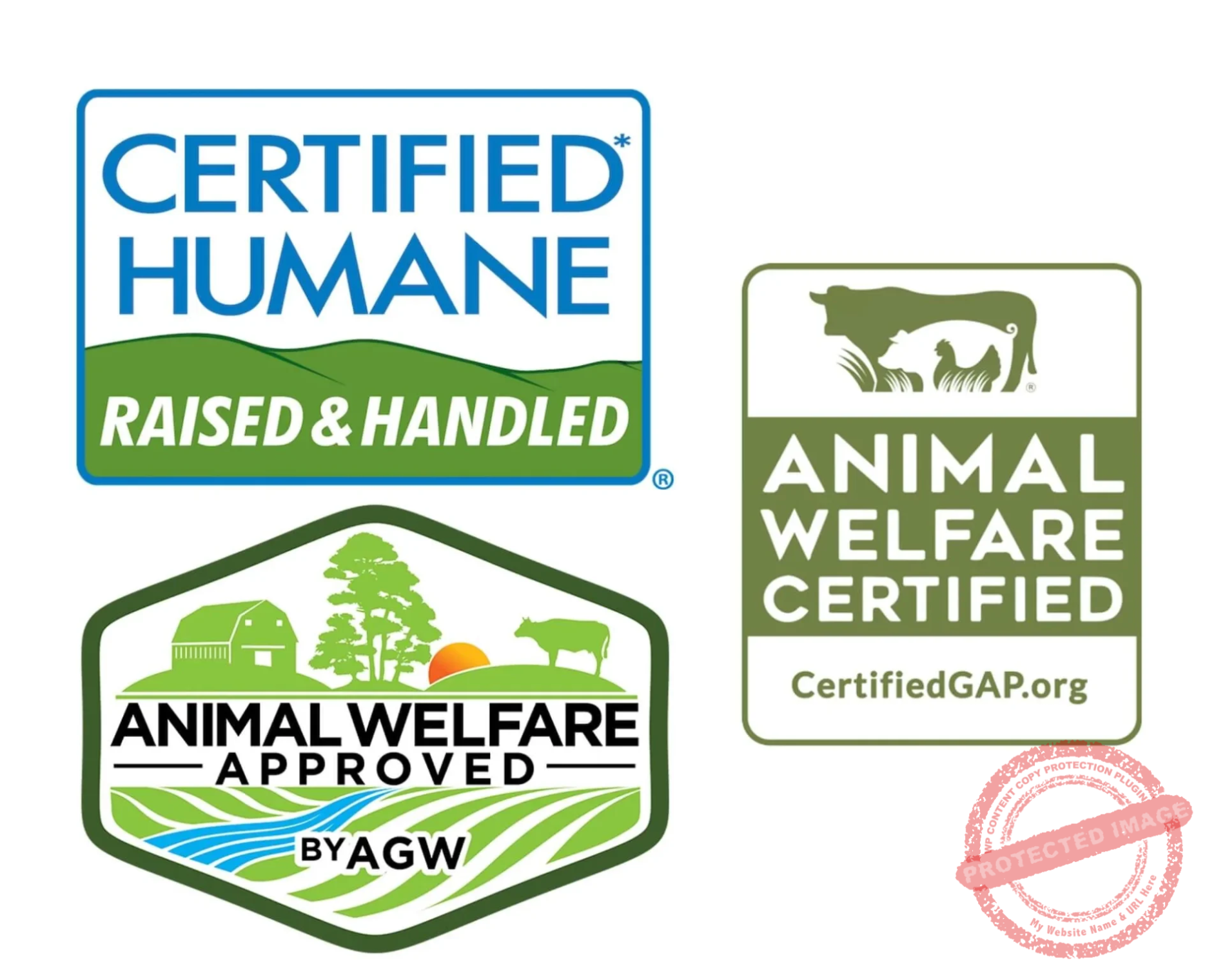 Understanding Animal Welfare Certifications For Humane Livestock ...
