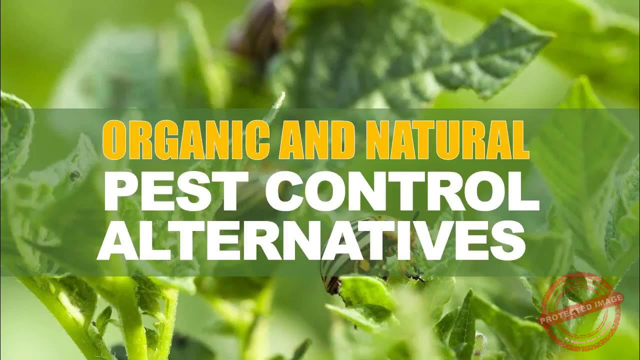 Natural Pest Control in Farming: A Farmer’s Guide to Winning the Battle ...